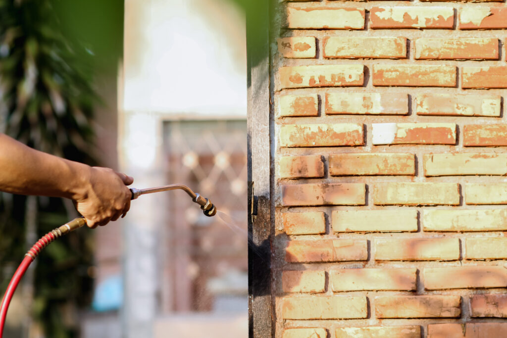 Termite Prevention Tips | Battling Termites in Winter - Delving Pest ...
